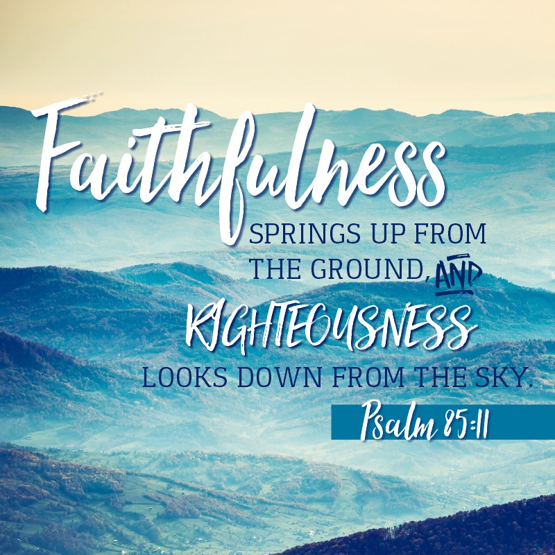 Study 66 詩篇 85 (3.5.24) – 以馬忤斯之路：聖經神學譯介